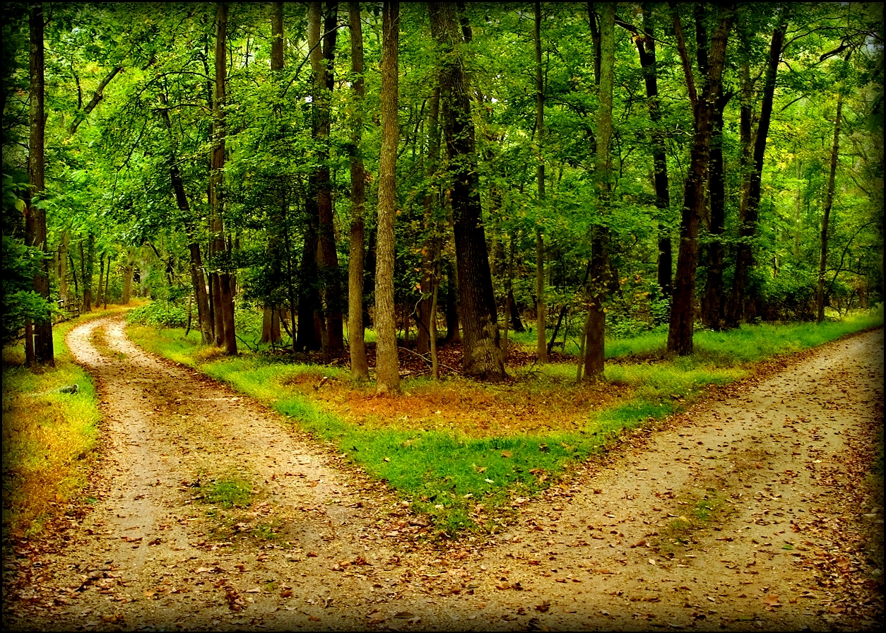 There are two paths and one choice | Living Epistle